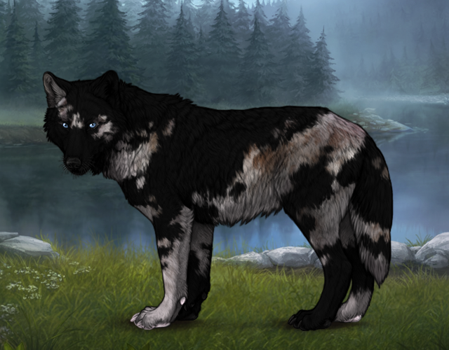 Stud trade t3 |:| Wolvden