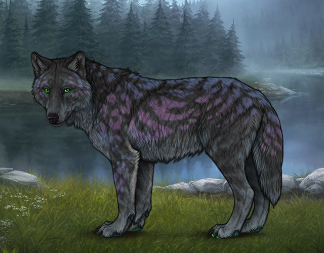 T2 Onyx 4M |:| Wolvden