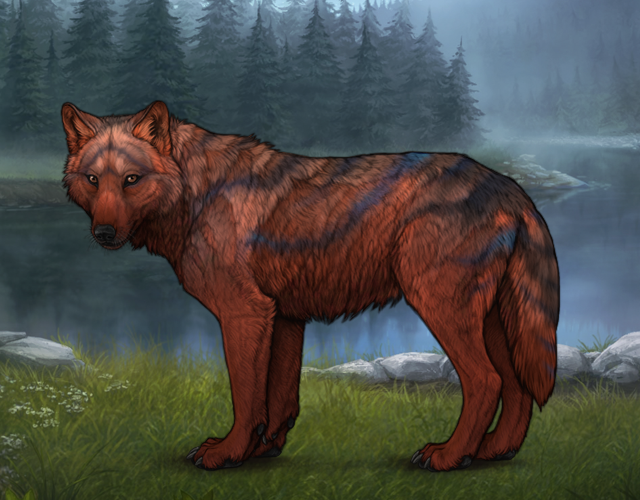 Chased Wolf Spotting - Revamped |:| Wolvden