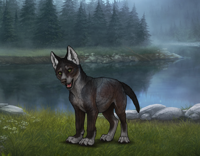 New Puppy |:| Wolvden