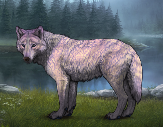 chased wolf |:| Wolvden