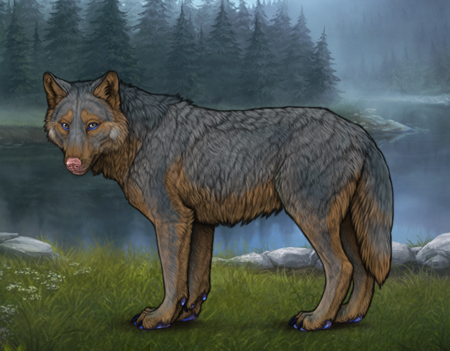 Chased Wolf Spotting - Revamped |:| Wolvden
