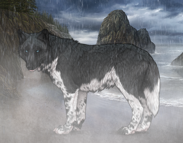 Tairn 2C |:| Wolvden