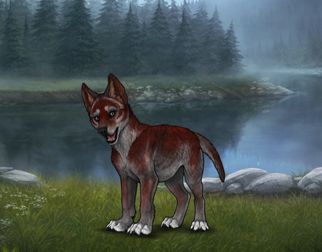 New Puppy |:| Wolvden