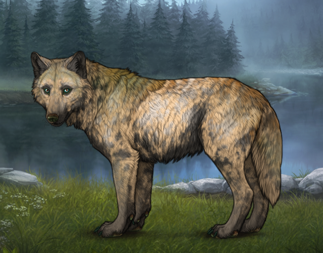 novus g4 merle |:| Wolvden