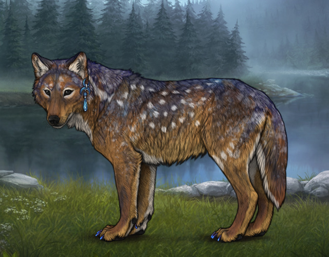 T2 | 5m wws |:| Wolvden