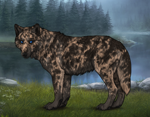 🔥 G4 3 merle |:| Wolvden