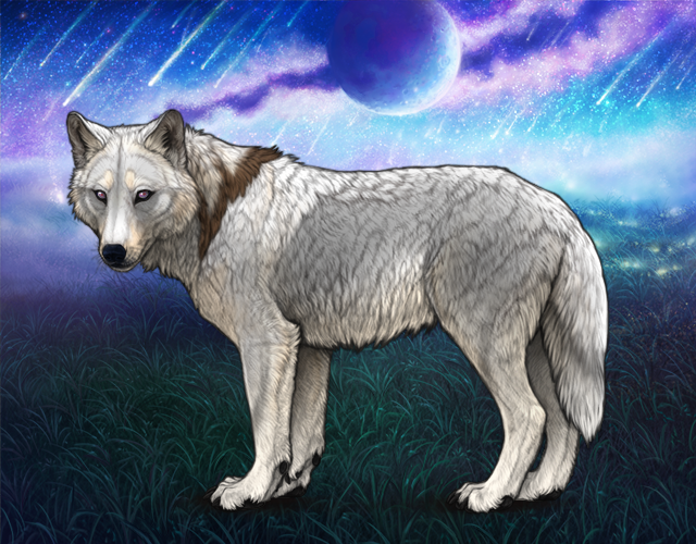 Train (C) |:| Wolvden