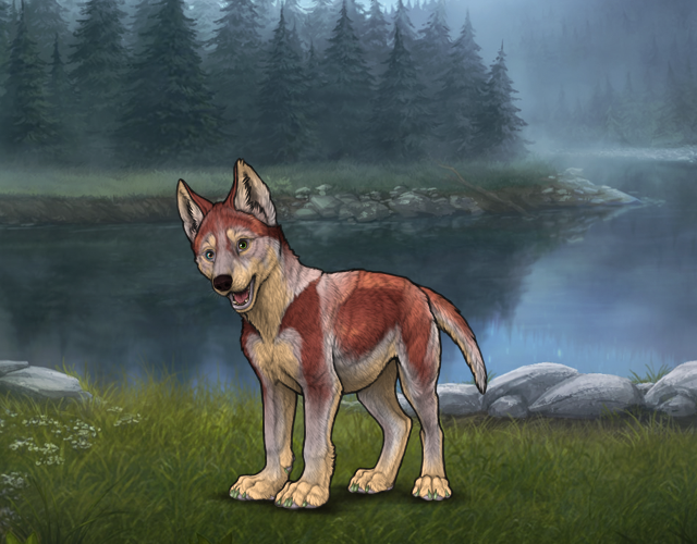 Husky eyes g2 |:| Wolvden