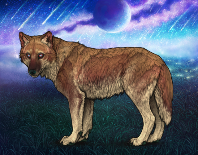 Blind-Believer-In-Dreams |:| Wolvden