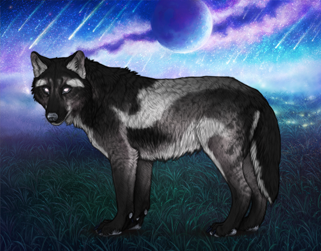 Chased Wolf Spotting - Revamped |:| Wolvden