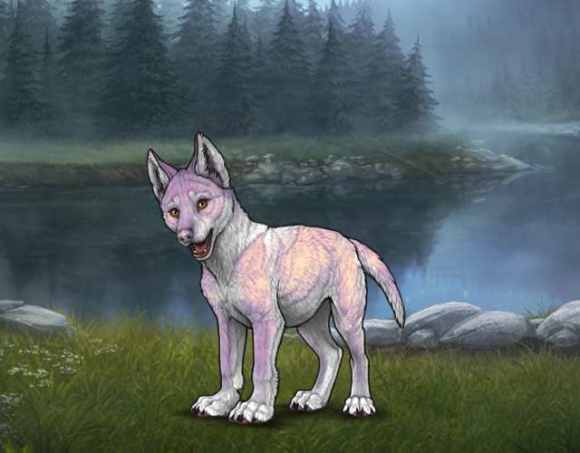 T2 Rust Merle Inuit Tamas |:| Wolvden