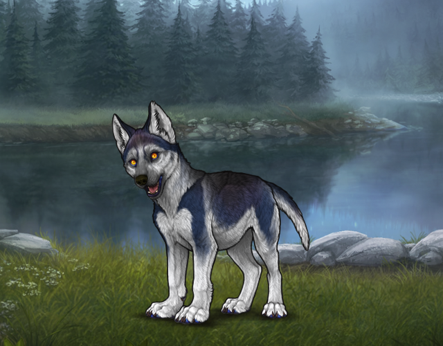 New Puppy |:| Wolvden