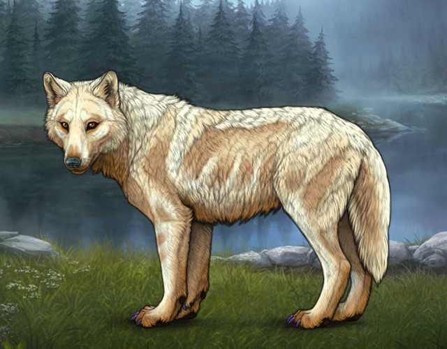 T1 5m F, Electric White |:| Wolvden