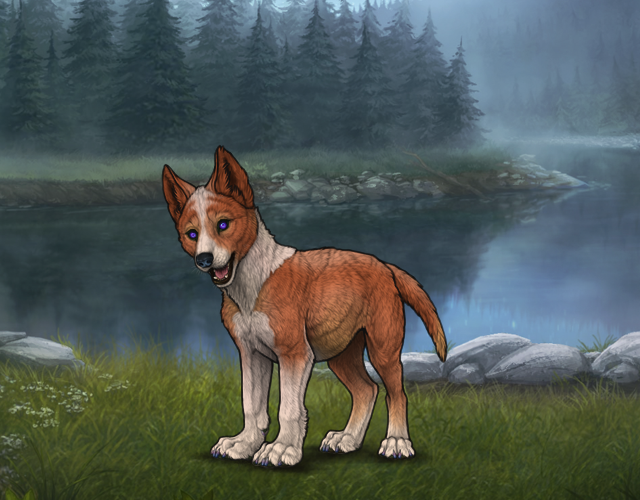 Chased Wolf Spotting - Revamped |:| Wolvden