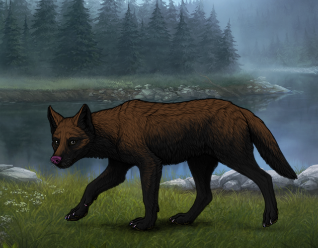 New Adopted Puppy |:| Wolvden