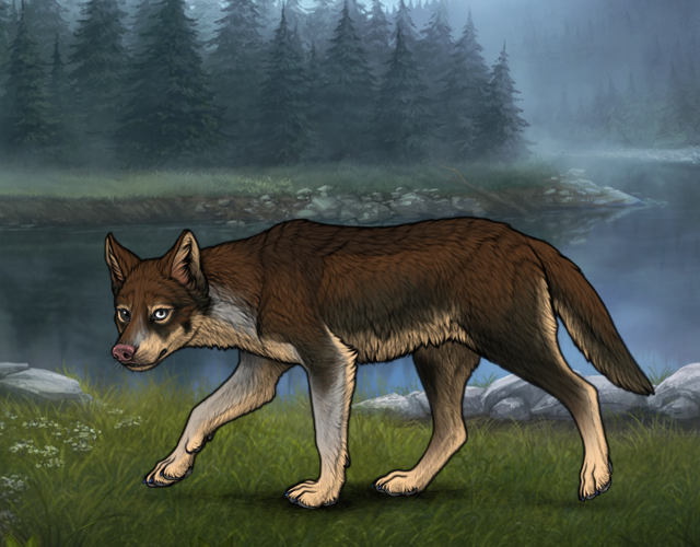 Female 2 |:| Wolvden