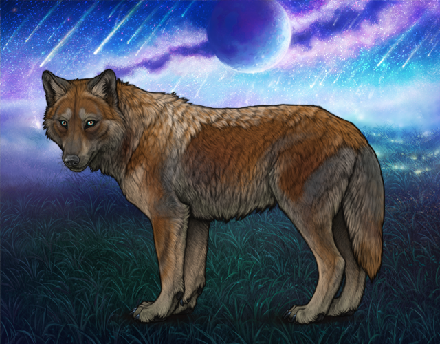 Chased Wolf Spotting - Revamped |:| Wolvden