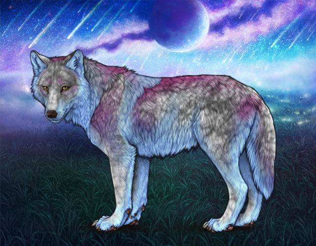 What wolf from the person above is best decorated? |:| Wolvden