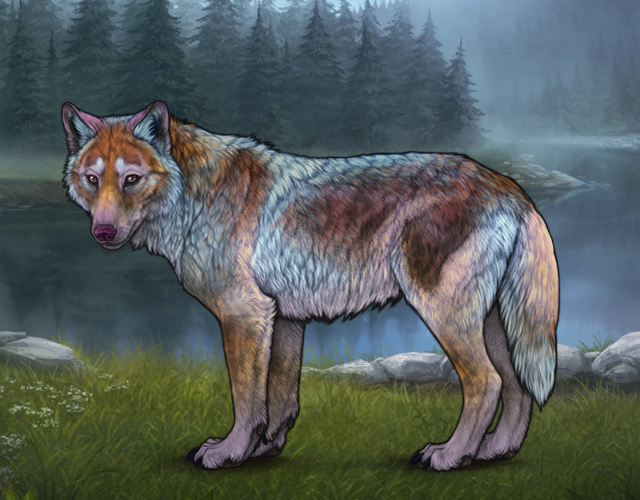 possible stud |:| Wolvden