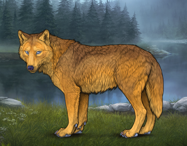 Chased Wolf Spotting - Revamped |:| Wolvden