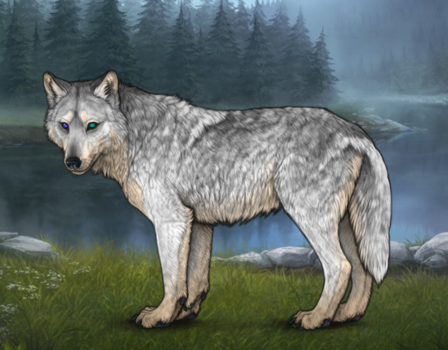 Bear food |:| Wolvden