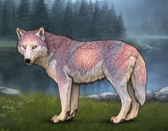 r&c ml cracks not for sal |:| Wolvden