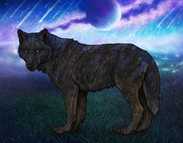 Chased Wolf Spotting - Revamped |:| Wolvden