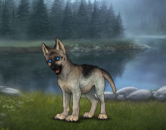 $ Mineral TI Patches 2T3 |:| Wolvden