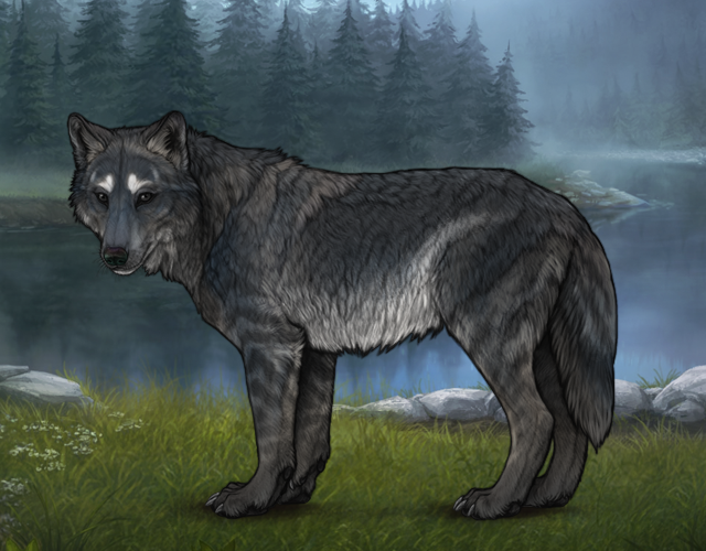 6m M t2 g2 |:| Wolvden