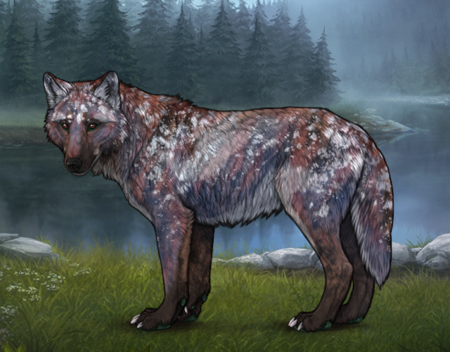 New Befriended Wolf |:| Wolvden