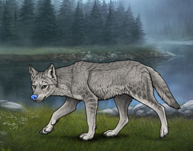 𝐒𝐓𝐎𝐑𝐌 |:| Wolvden