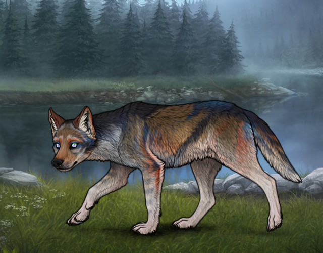 blonde 7M 592 stats male |:| Wolvden