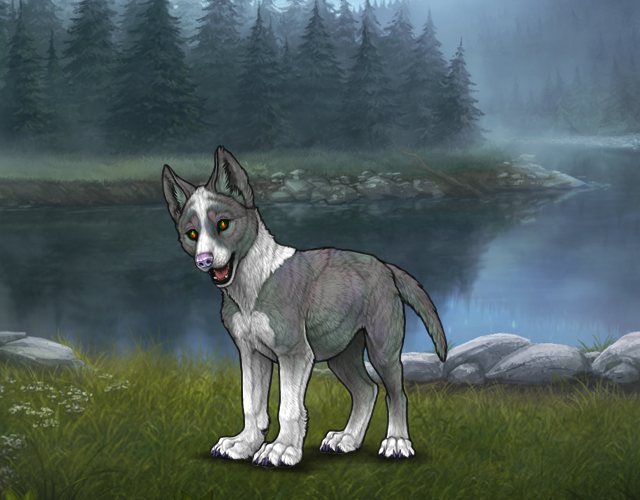 New Befriended Wolf |:| Wolvden