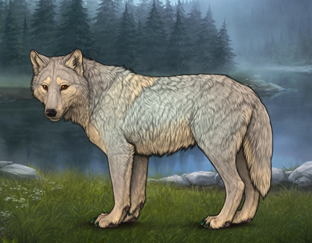 G3 T1 torn Novus |:| Wolvden