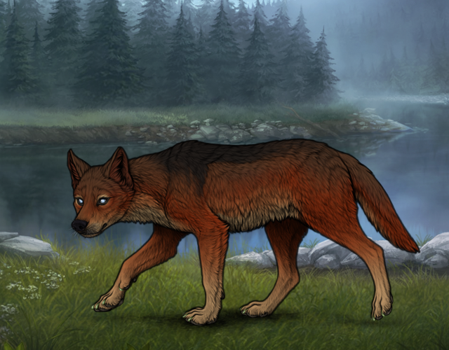 T2 G2 M6 |:| Wolvden