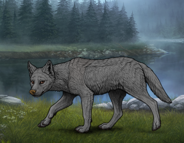 New Runt Puppy |:| Wolvden