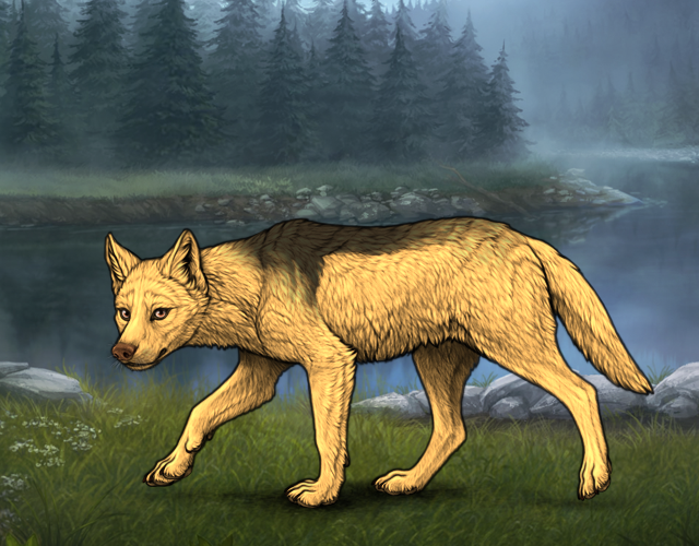 Grey darker |:| Wolvden