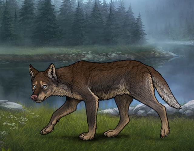 White T1 5m 421 ⭐ |:| Wolvden