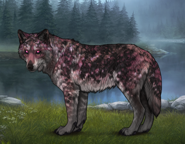 T2 g3 7m orchid |:| Wolvden