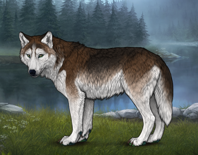 tbn / decor |:| Wolvden