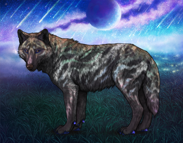 Ragged Light |:| Wolvden