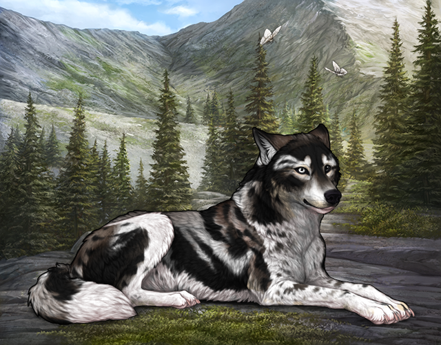 8m Hetero Zerdava G2 |:| Wolvden