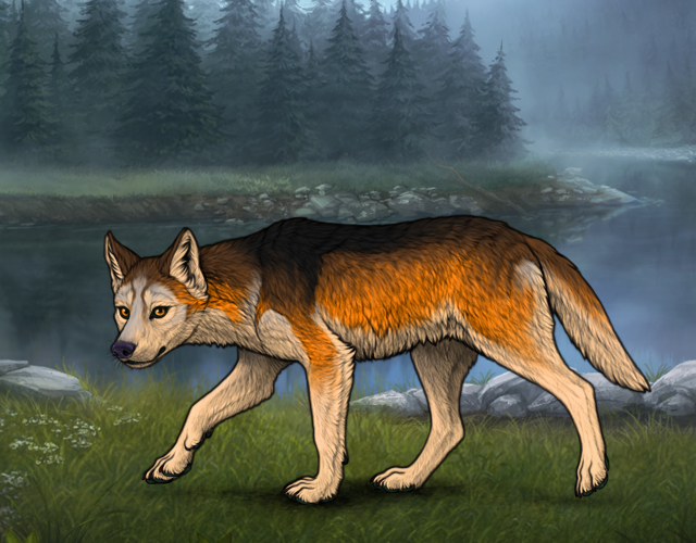 $ T2 6M FEMALE 120SC |:| Wolvden