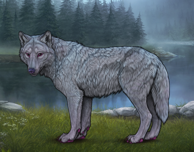 Chased Wolf Spotting - Revamped |:| Wolvden