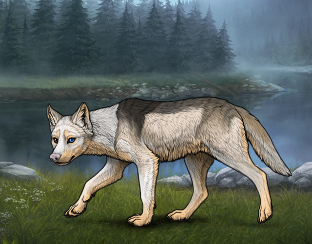 Summer (str + smr) |:| Wolvden