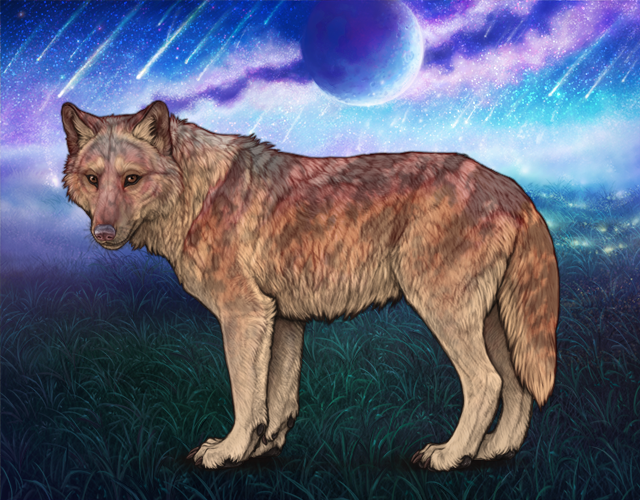 G2 Mojave, 2xMerle 420s |:| Wolvden