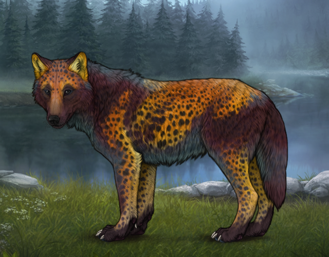 Clean Cheeta Bl Catshark♮ |:| Wolvden