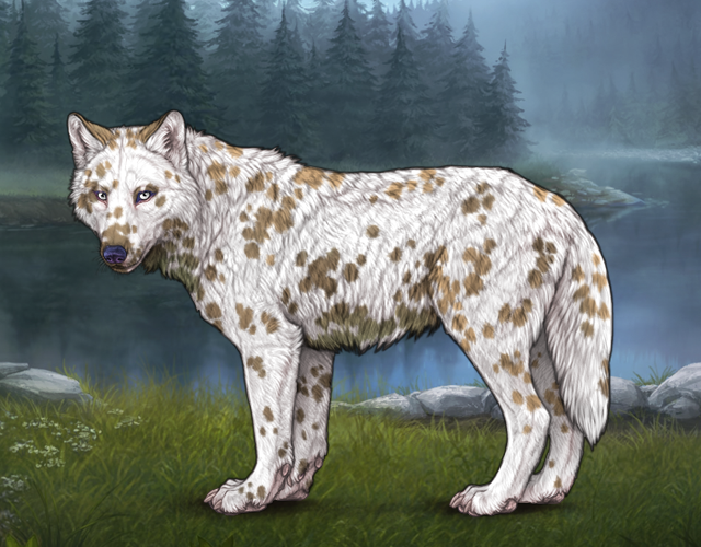 G5 m 2m dalm |:| Wolvden