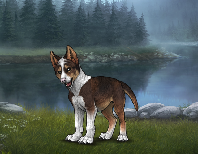 New Puppy BLS |:| Wolvden